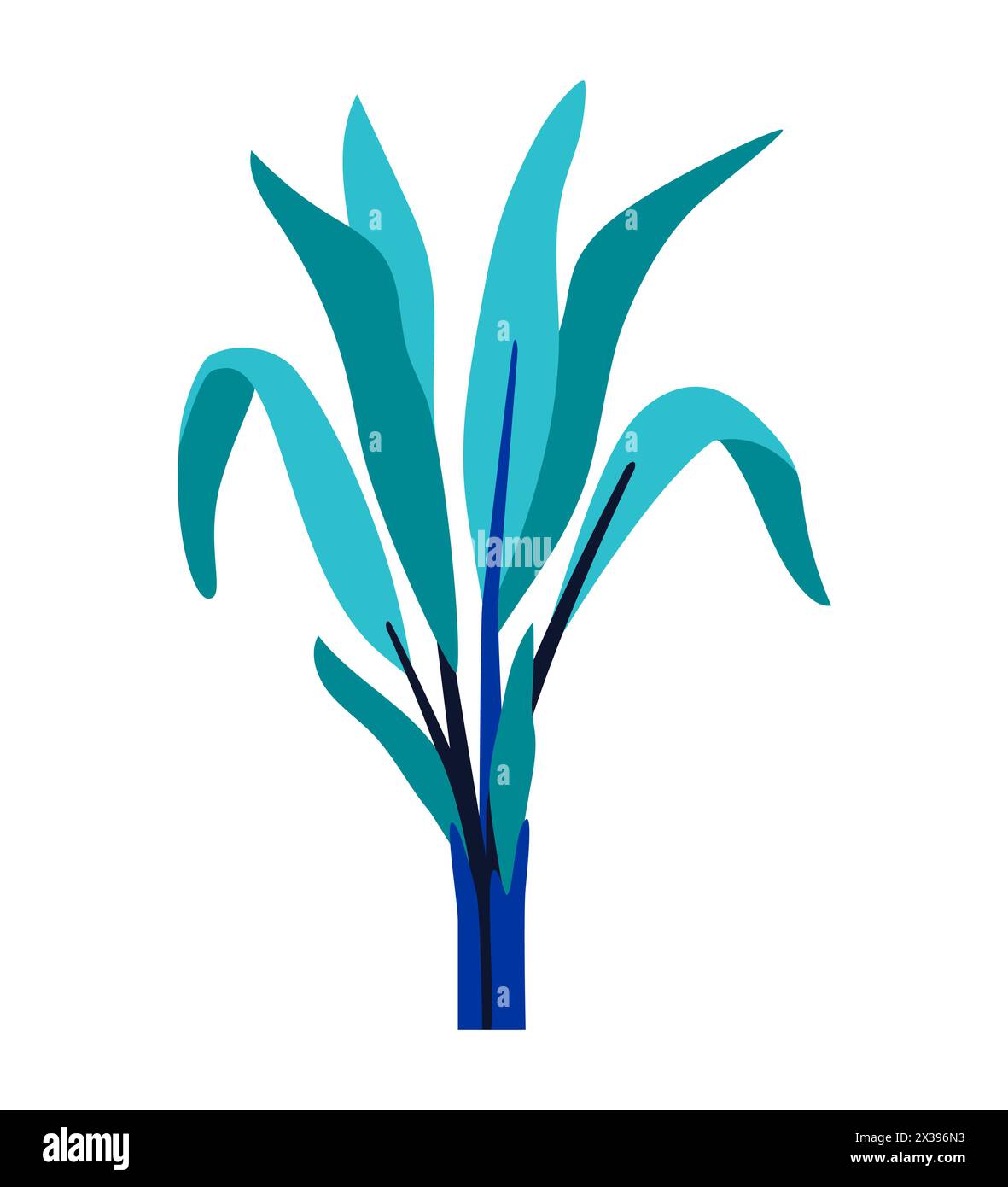 Exotic leafy plant Stock Vector Images - Alamy