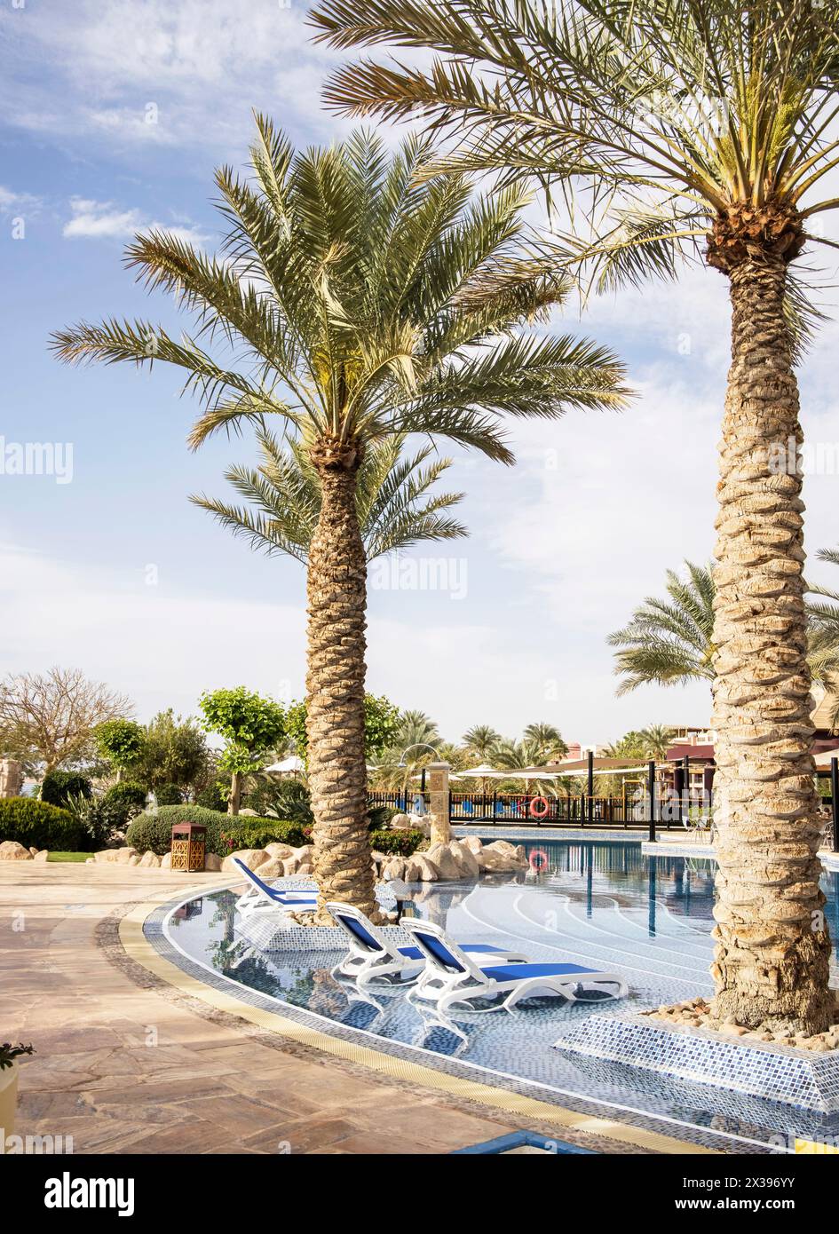 palm trees by the swimming pool in the movenpick resort in the town of ...