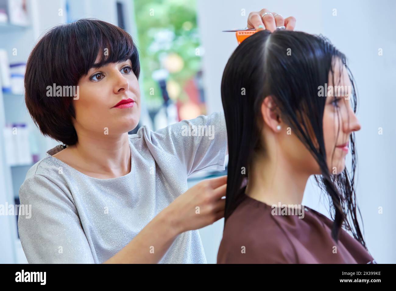 Hairdresser combing female hair cutting hi-res stock photography and ...