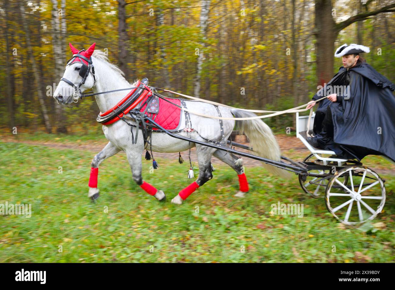 Coachman in cloak sits in coach with horse and hold reins in autumn ...