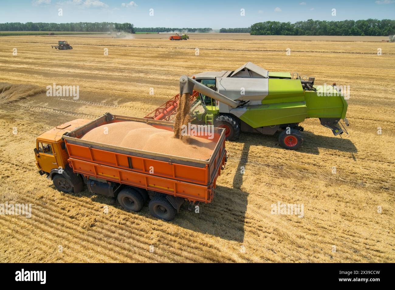 Hot time to harvest grain hi-res stock photography and images - Alamy