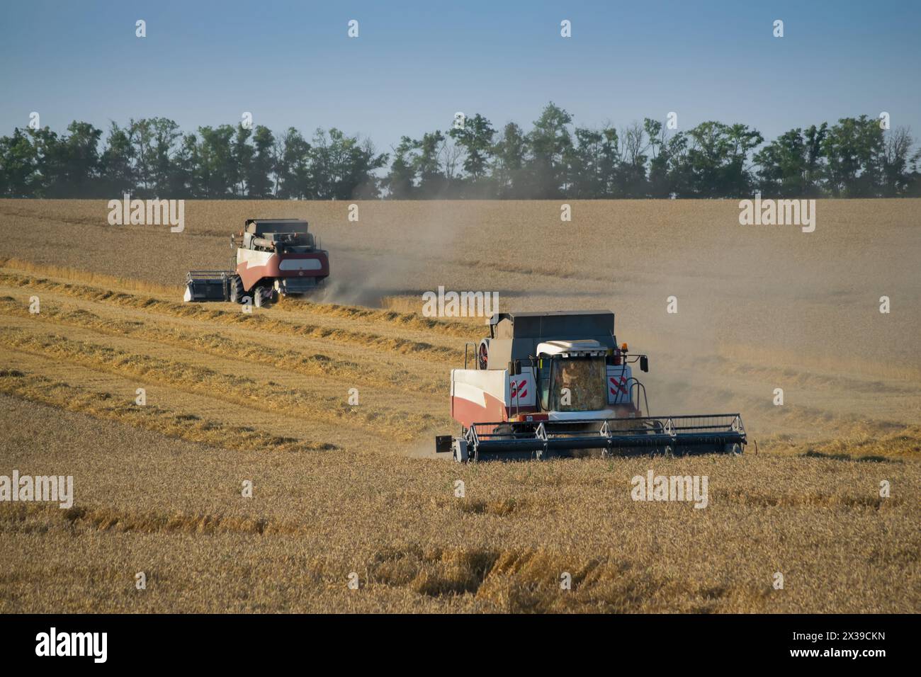 Modern harvester gathering corn crop hi-res stock photography and ...