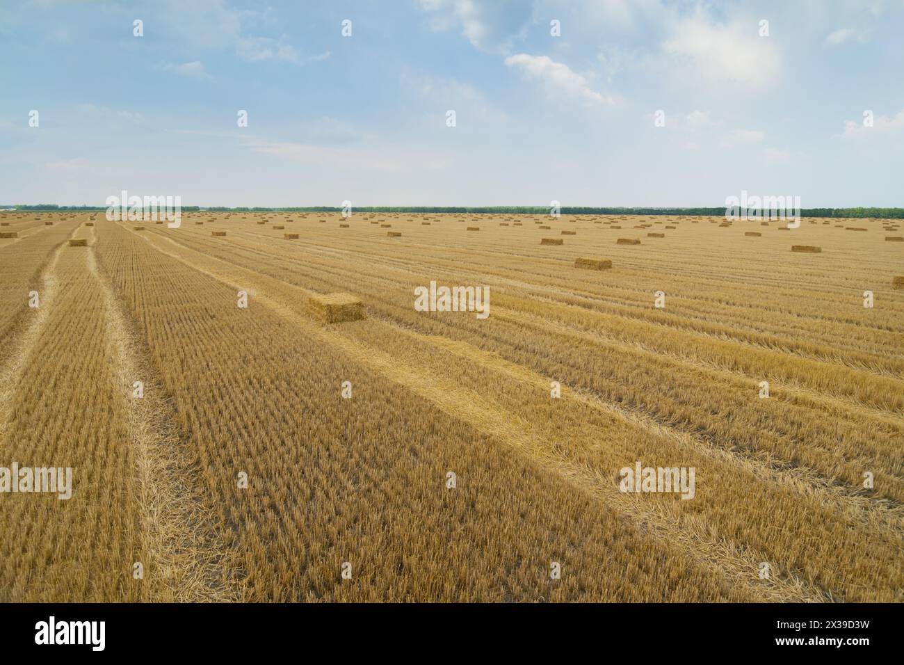 Field after harvesting stacks hi-res stock photography and images - Alamy