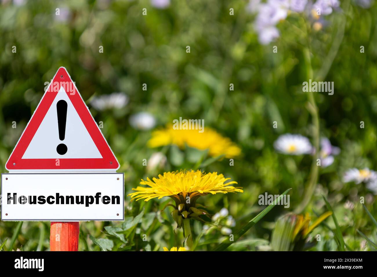 Sign with warning pollen hay fever allergy Stock Photo - Alamy