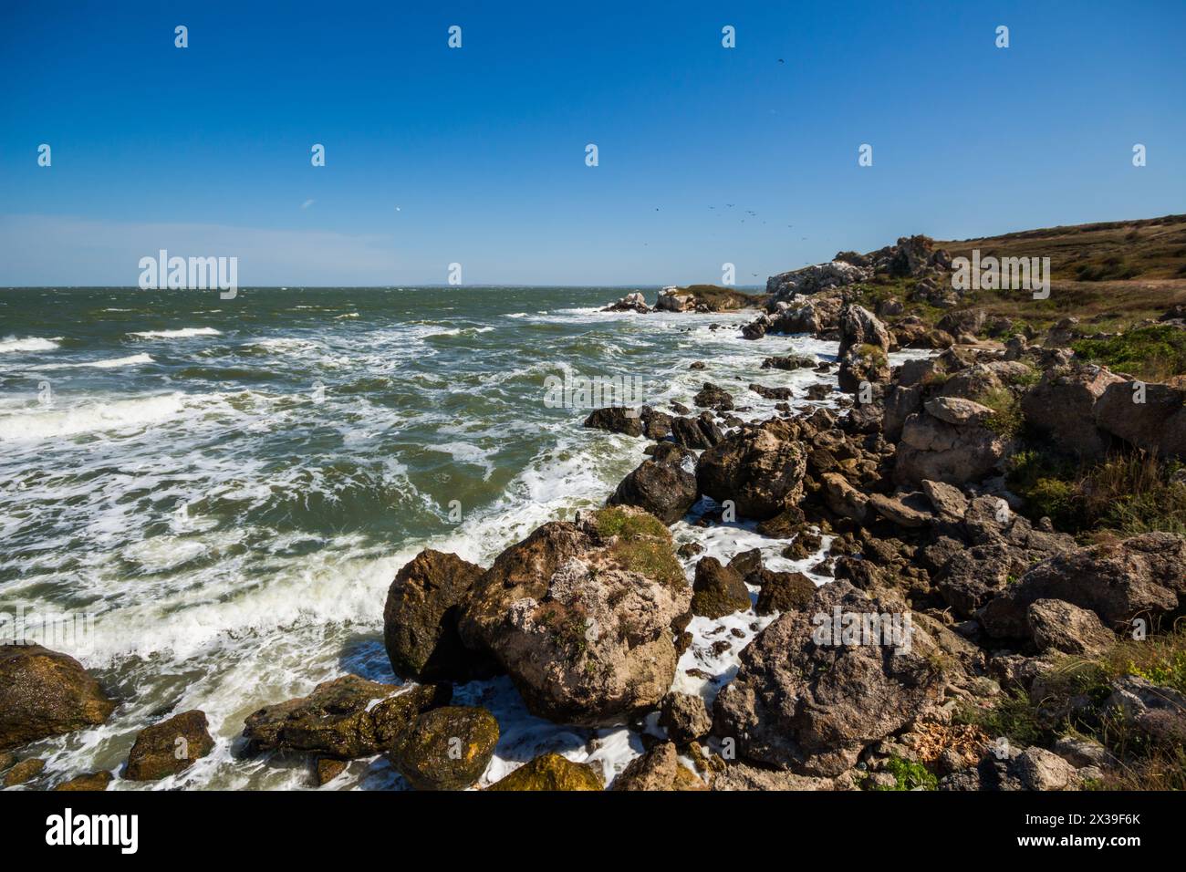 Waterside of sea, blue sky, birds and rocks at summer sunny day Stock ...