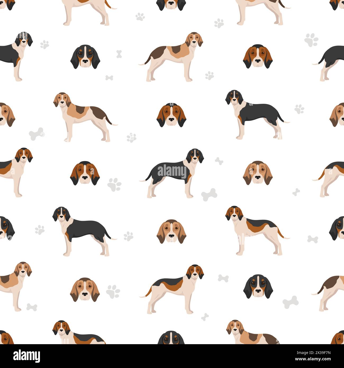 Medium sized Anglo-French hound seamless pattern. Different poses, coat ...