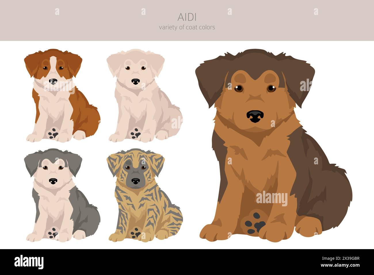 Peeking animals set isolated Stock Vector Images - Alamy