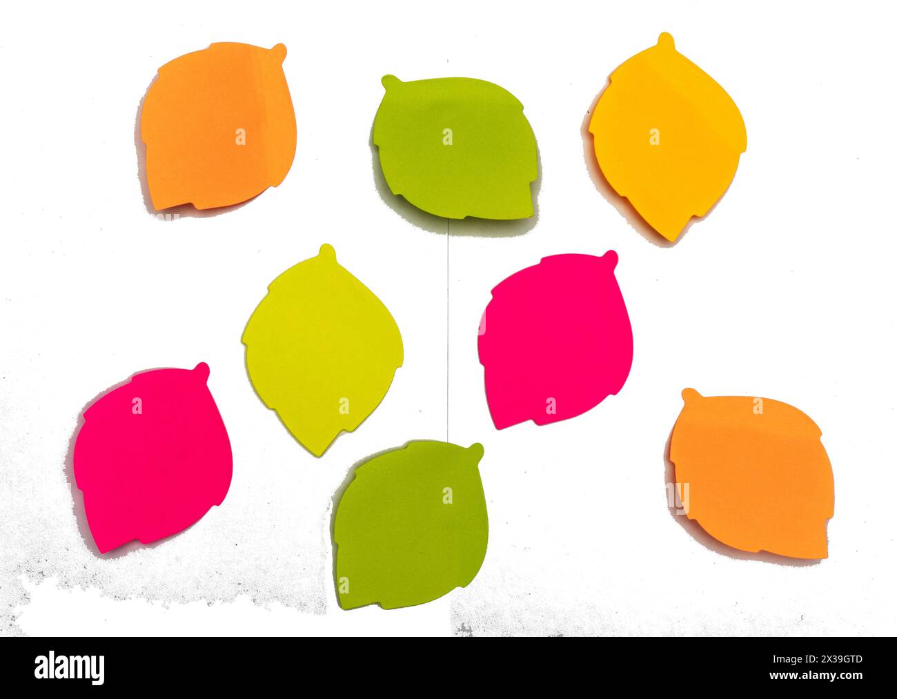 A set of stickers made of multicolored paper, layouts of empty label ...