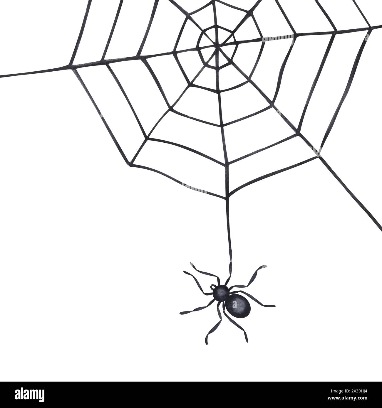 Black spider hangs on cobwebs. Creepy scary small predator, arthropod ...