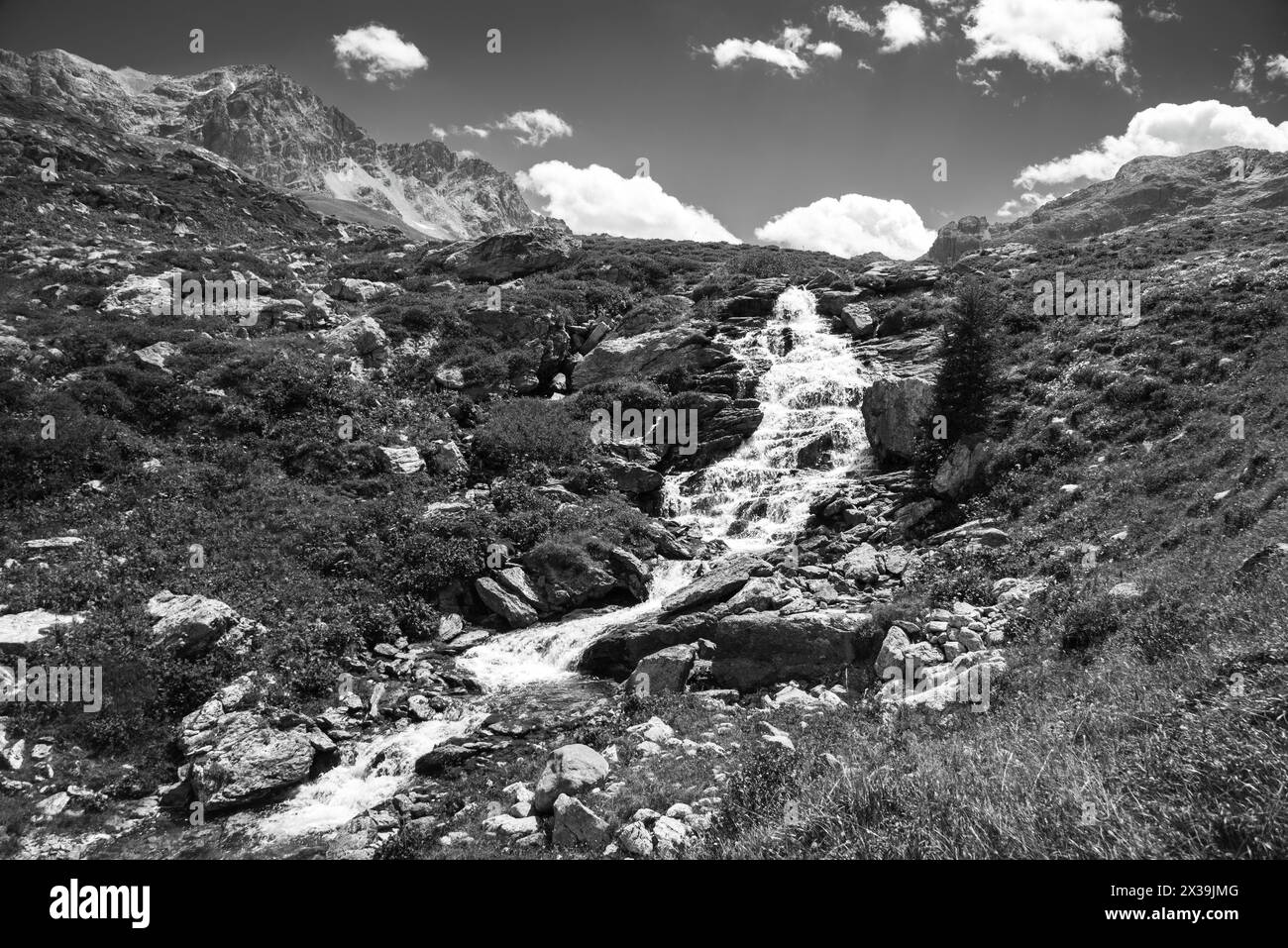 Water stream in French Alps. Peisey valley, Savoie, France. Beautiful ...