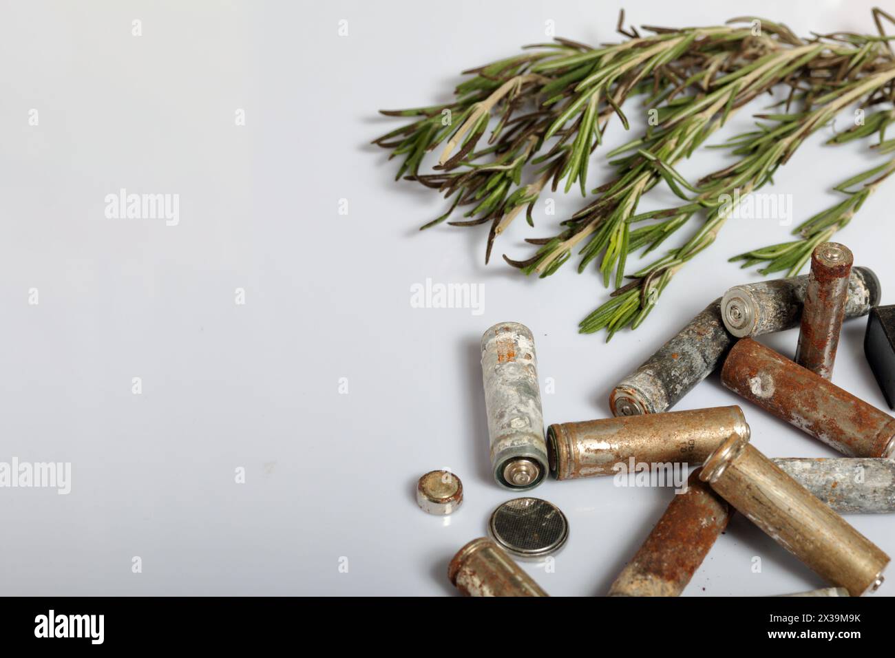 Used batteries and a branch of greens. Recycling waste batteries ...