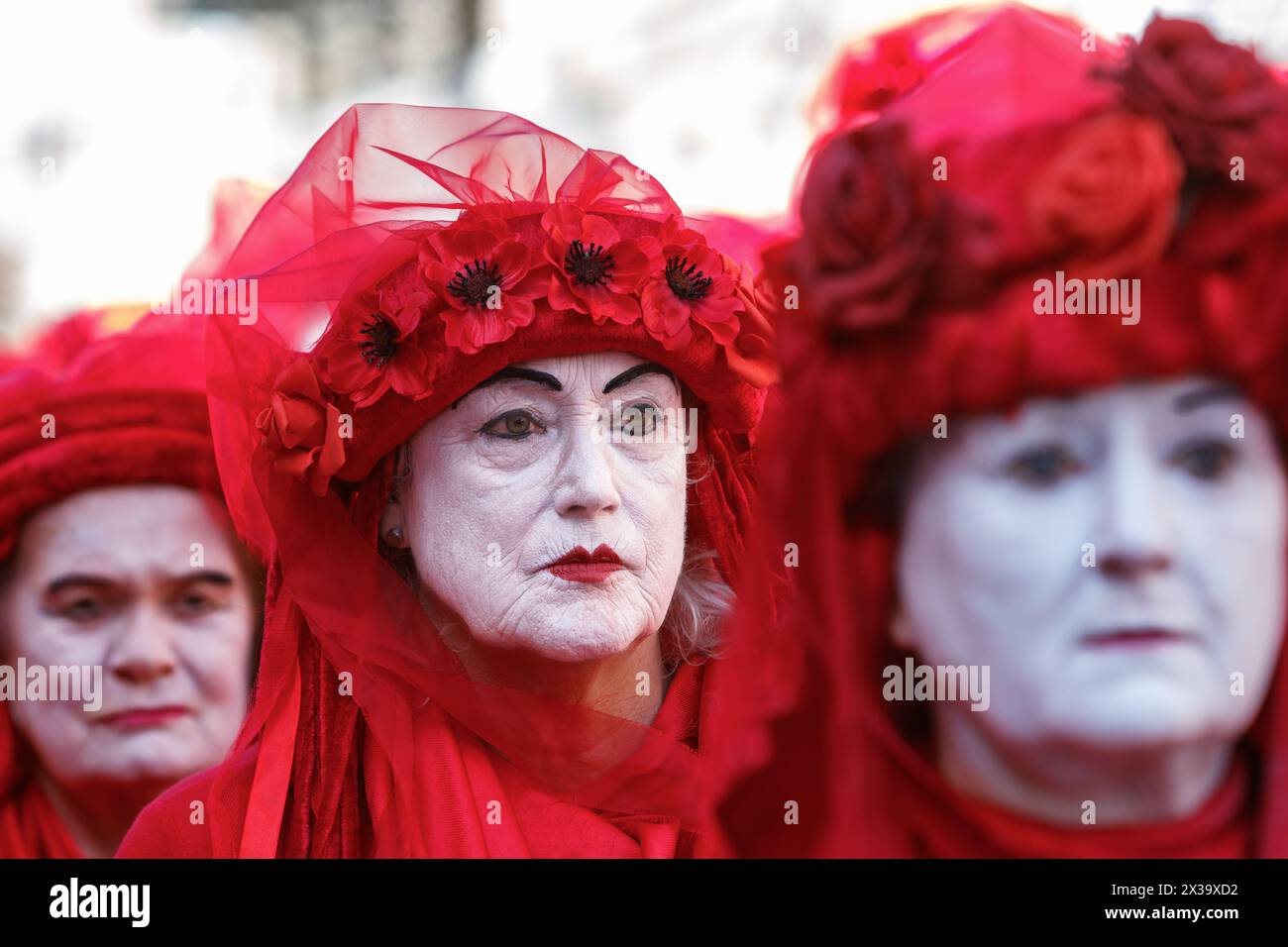 Members of the Red Rebel Brigade take part in a 'funeral for nature ...