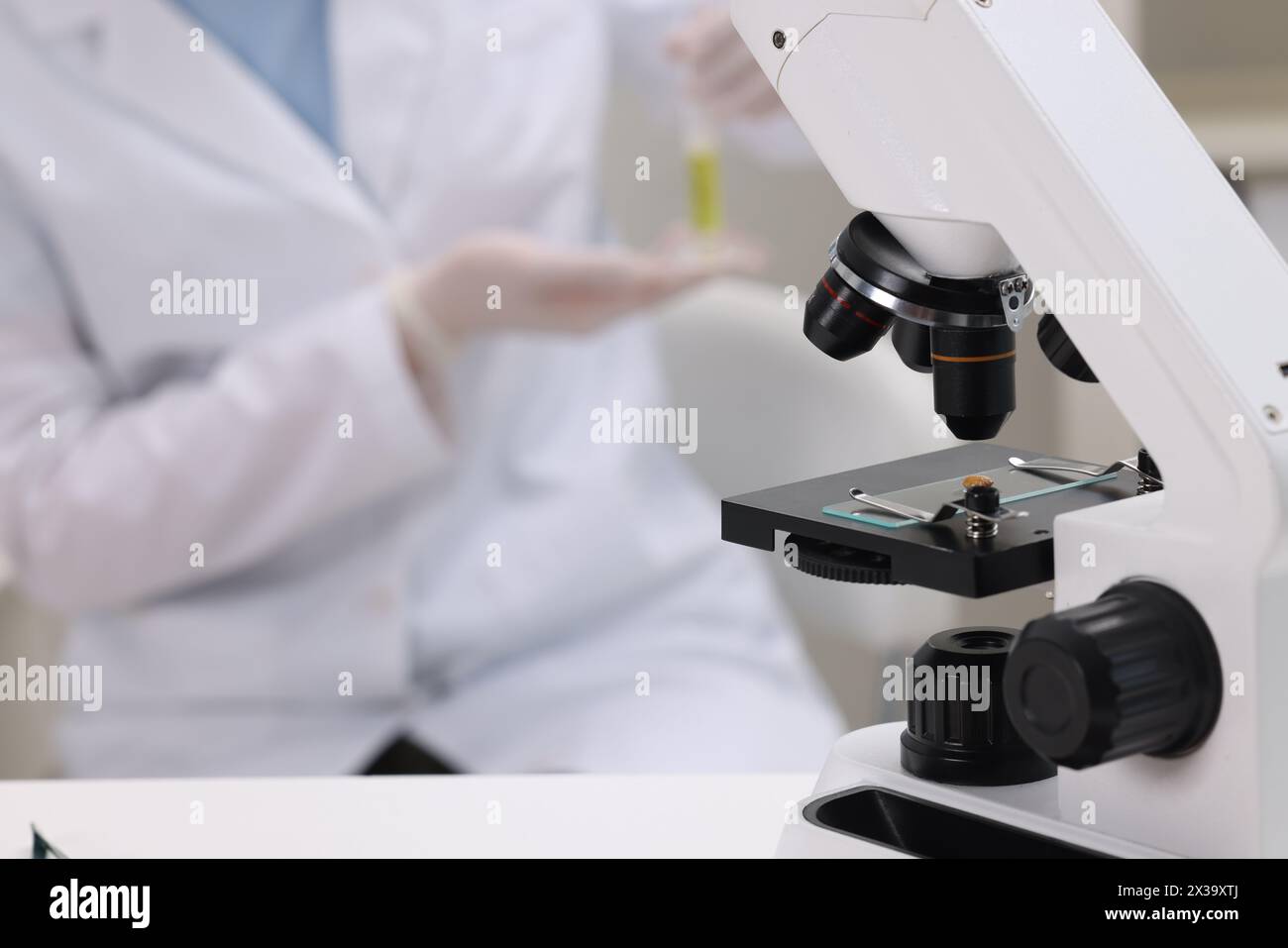 Quality control. Food inspector working in laboratory, focus on ...