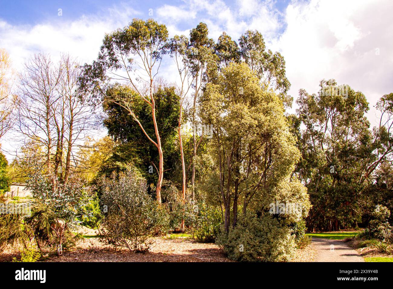 The University of Dundee Botanical Gardens offers stunning views of ...