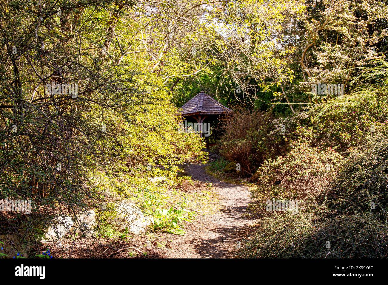 Dundee university botanic gardens hi-res stock photography and images ...