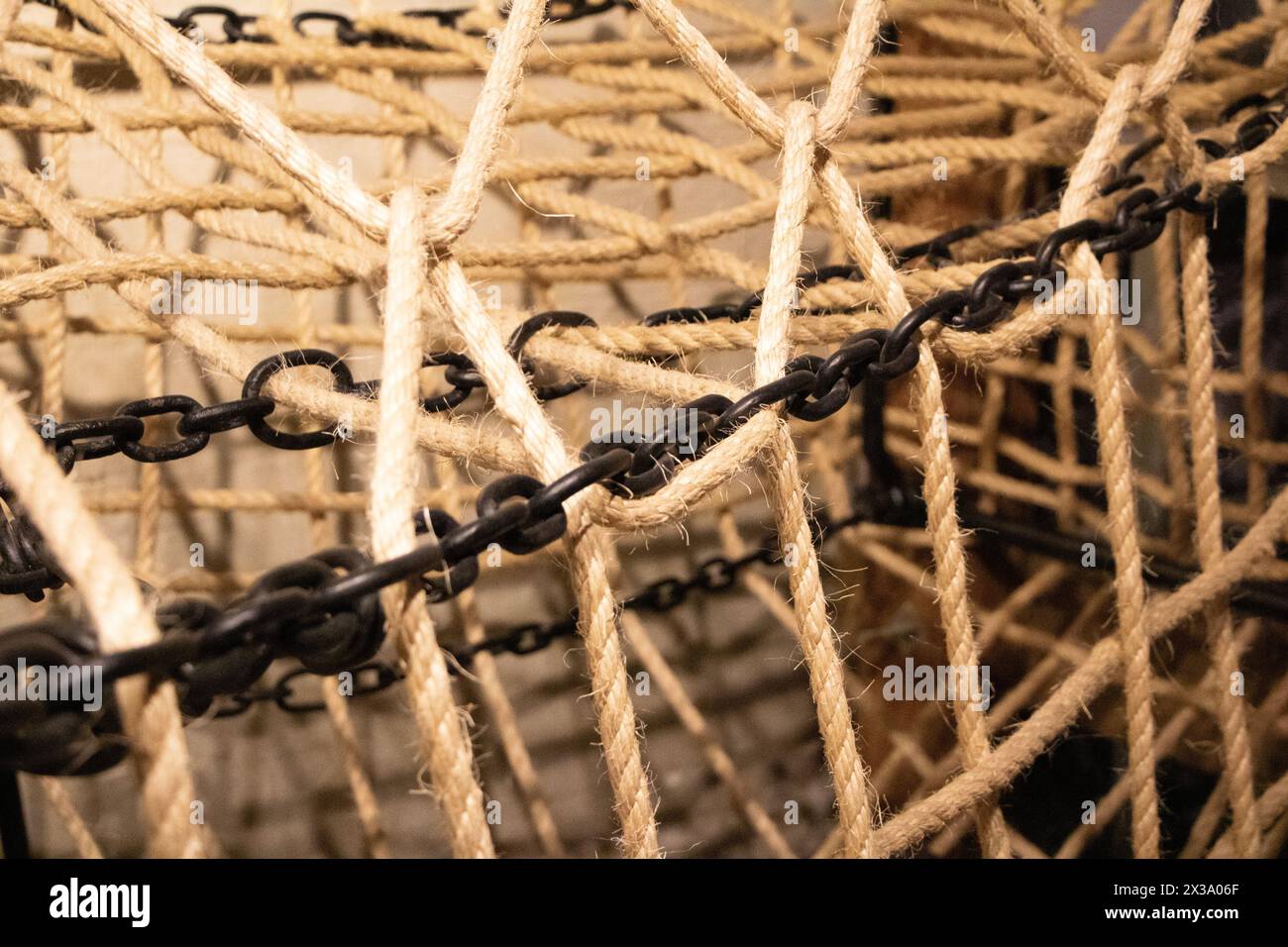Plant wire cage hi-res stock photography and images - Alamy