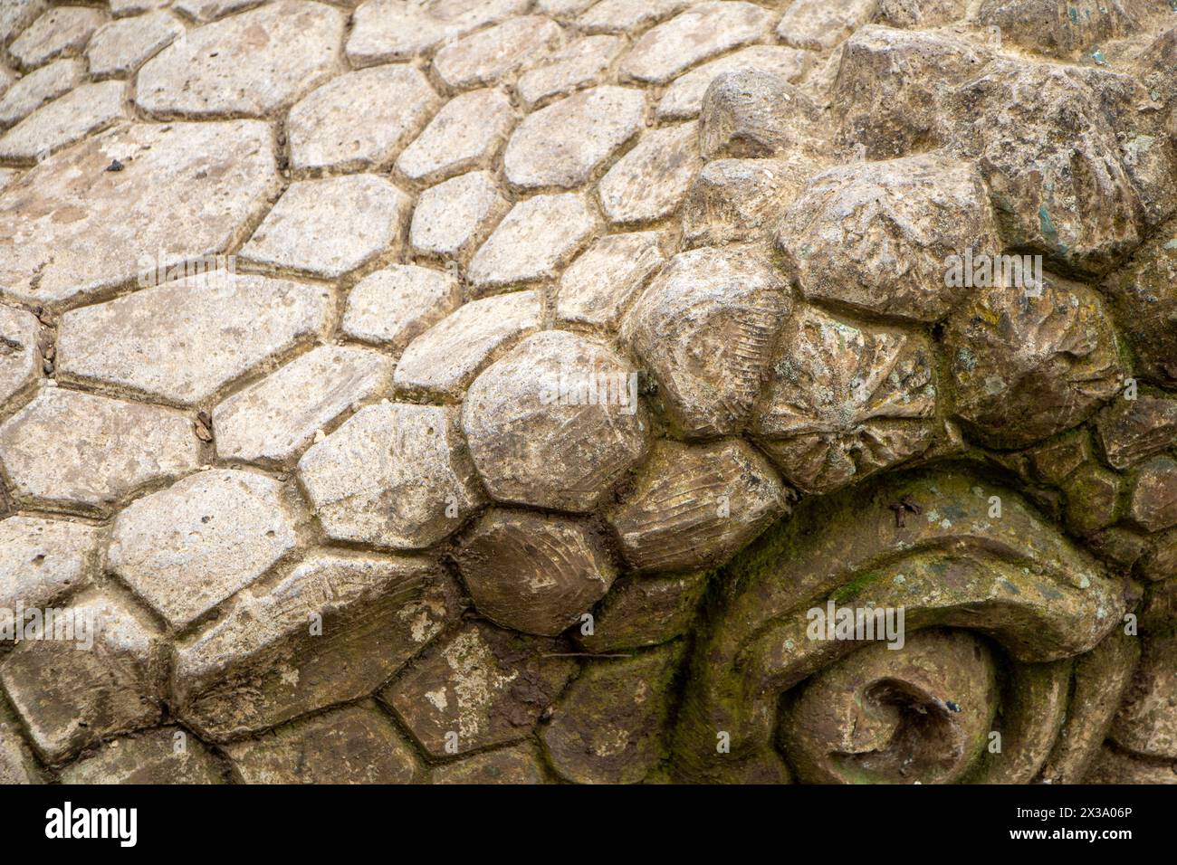 Lizard turned to stone Stock Photo - Alamy