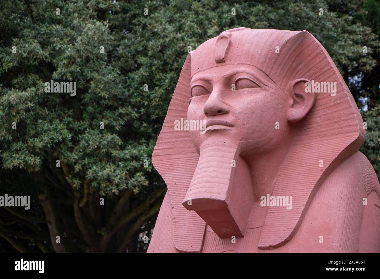 Riddle of the red sphinx Stock Photo - Alamy