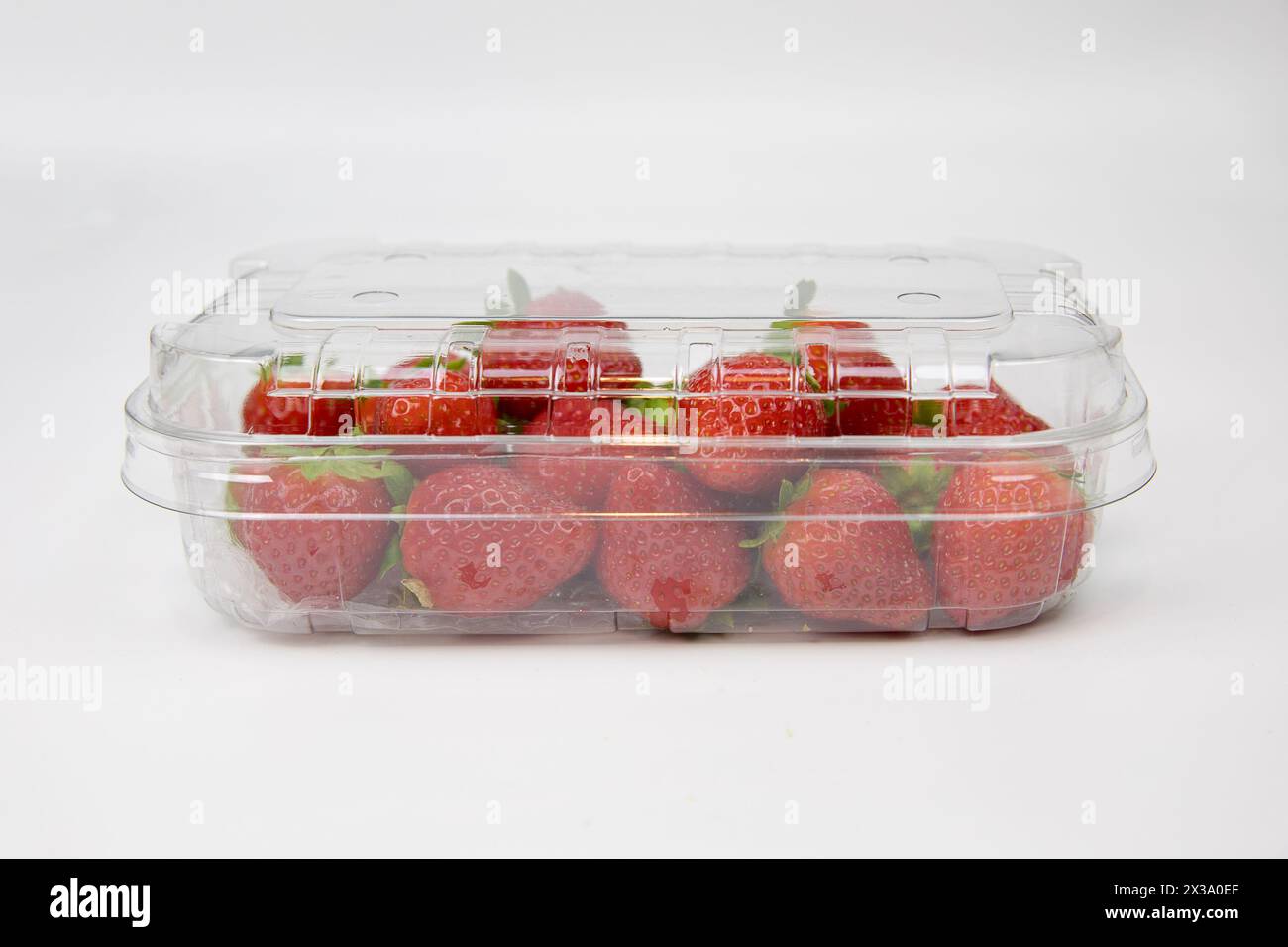 disposable plastic containers and lids on a white background. biaxially ...