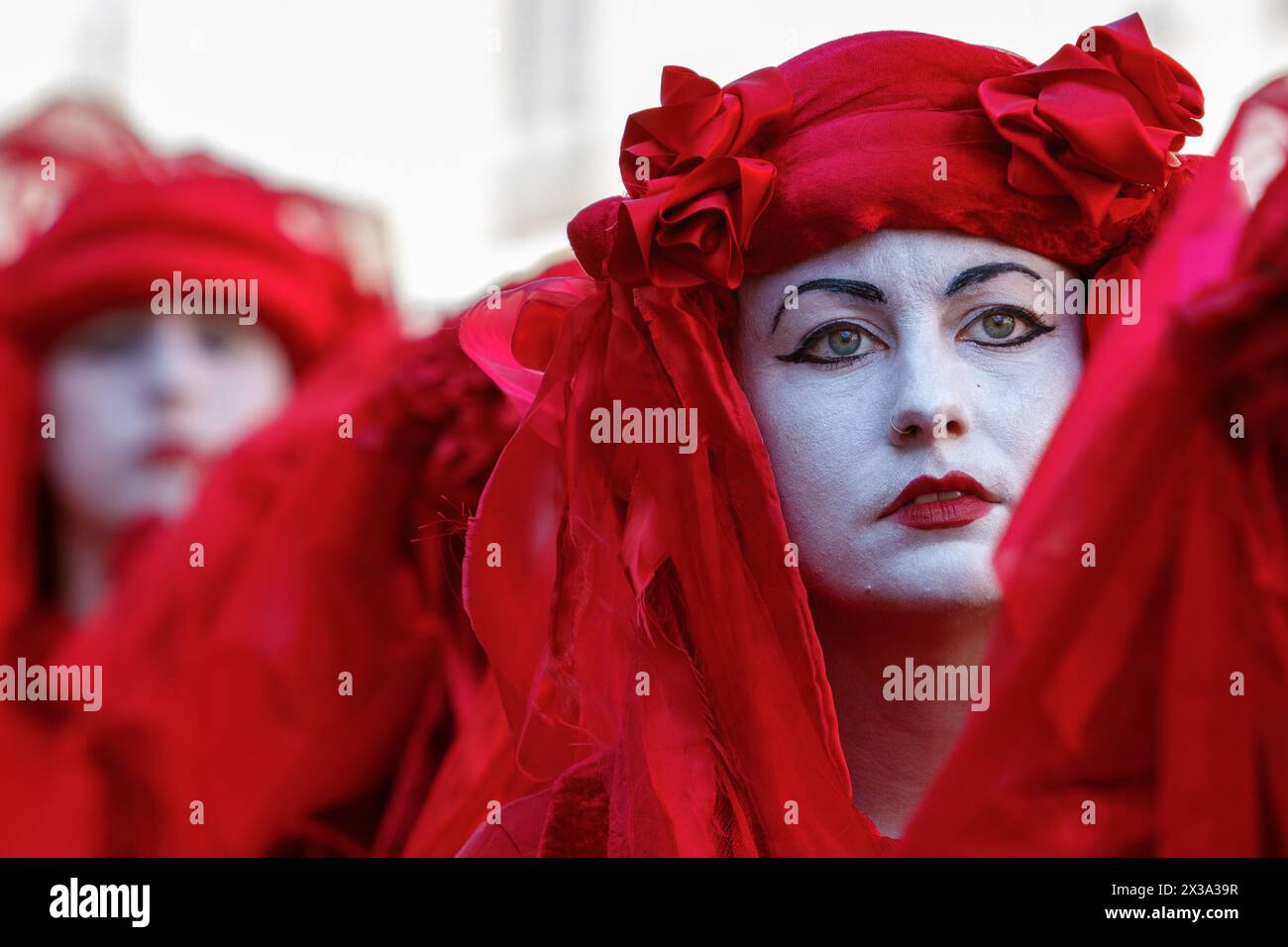 Members of the Red Rebel Brigade take part in a 'funeral for nature ...