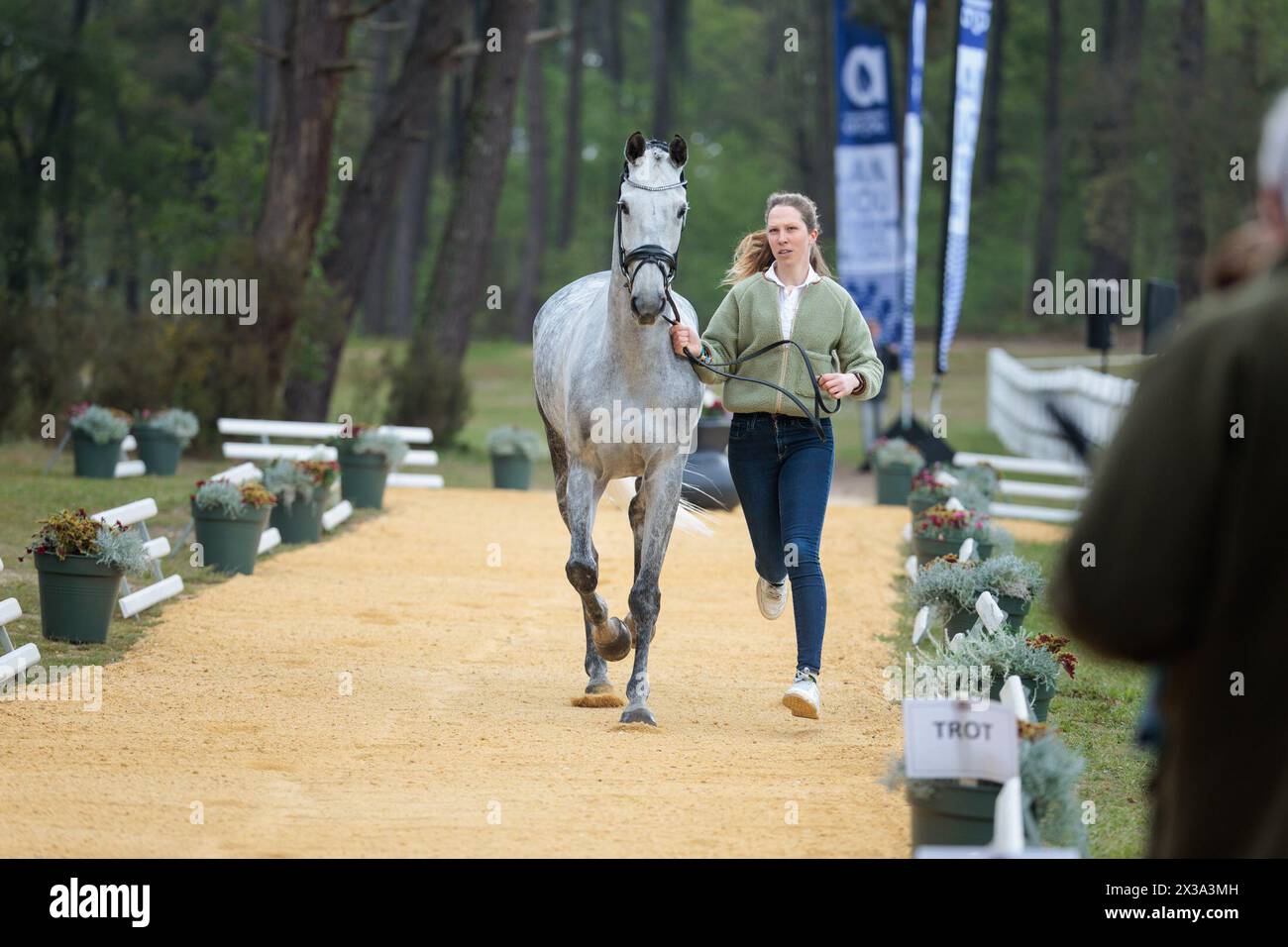 Tine MAGNUS of Belgium with Dia Van Het Lichterveld Z during the first ...
