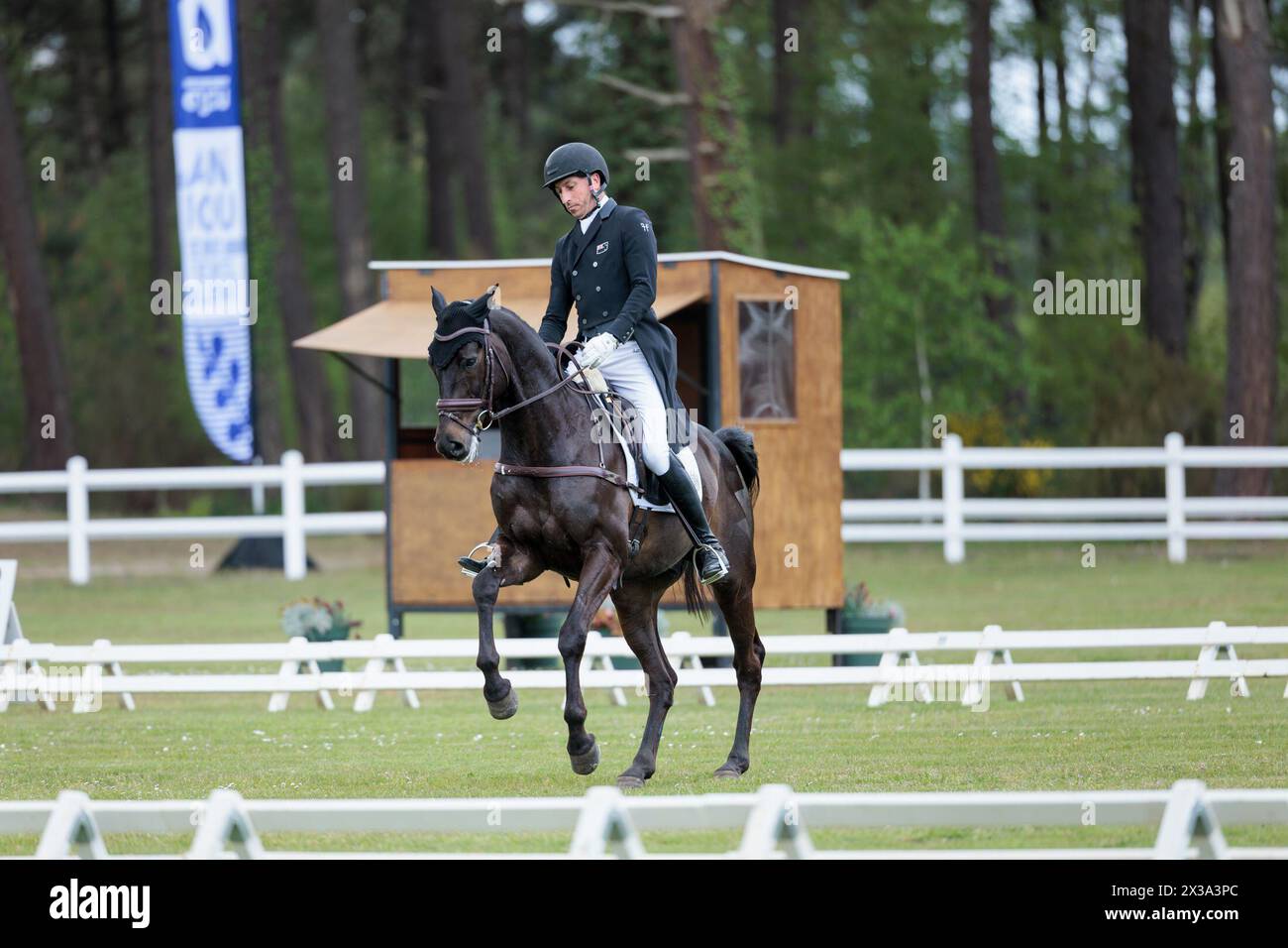 Tim PRICE of New Zealand with Happy Boy during the Dressage test at ...