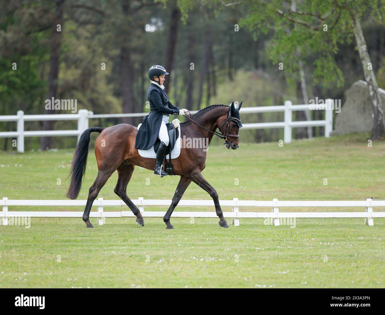 Jonelle PRICE of New Zealand with Mcclaren during the Dressage test at ...