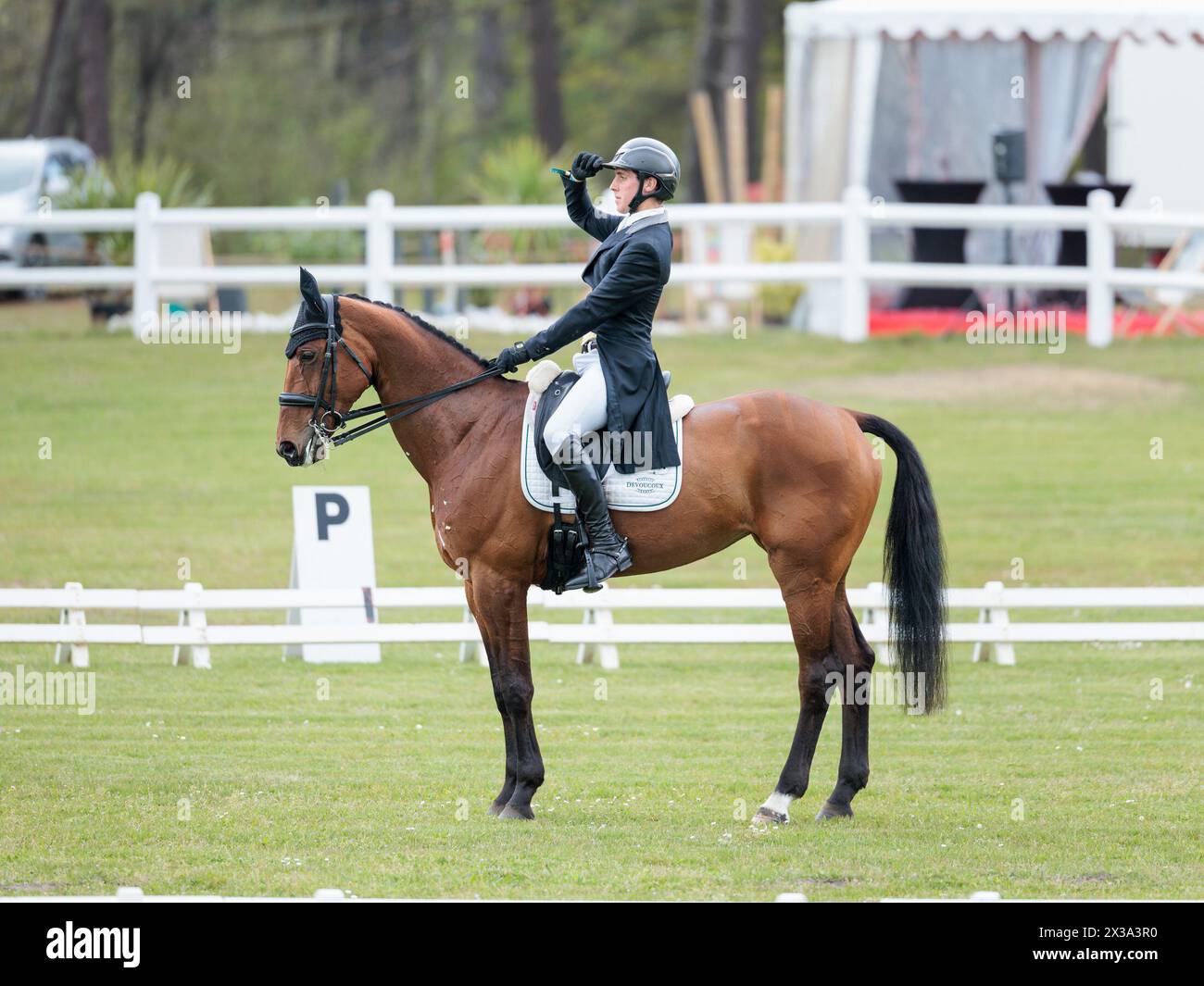 Paolo TORLONIA of Italy with Esi Bethany Bay during the Dressage test ...