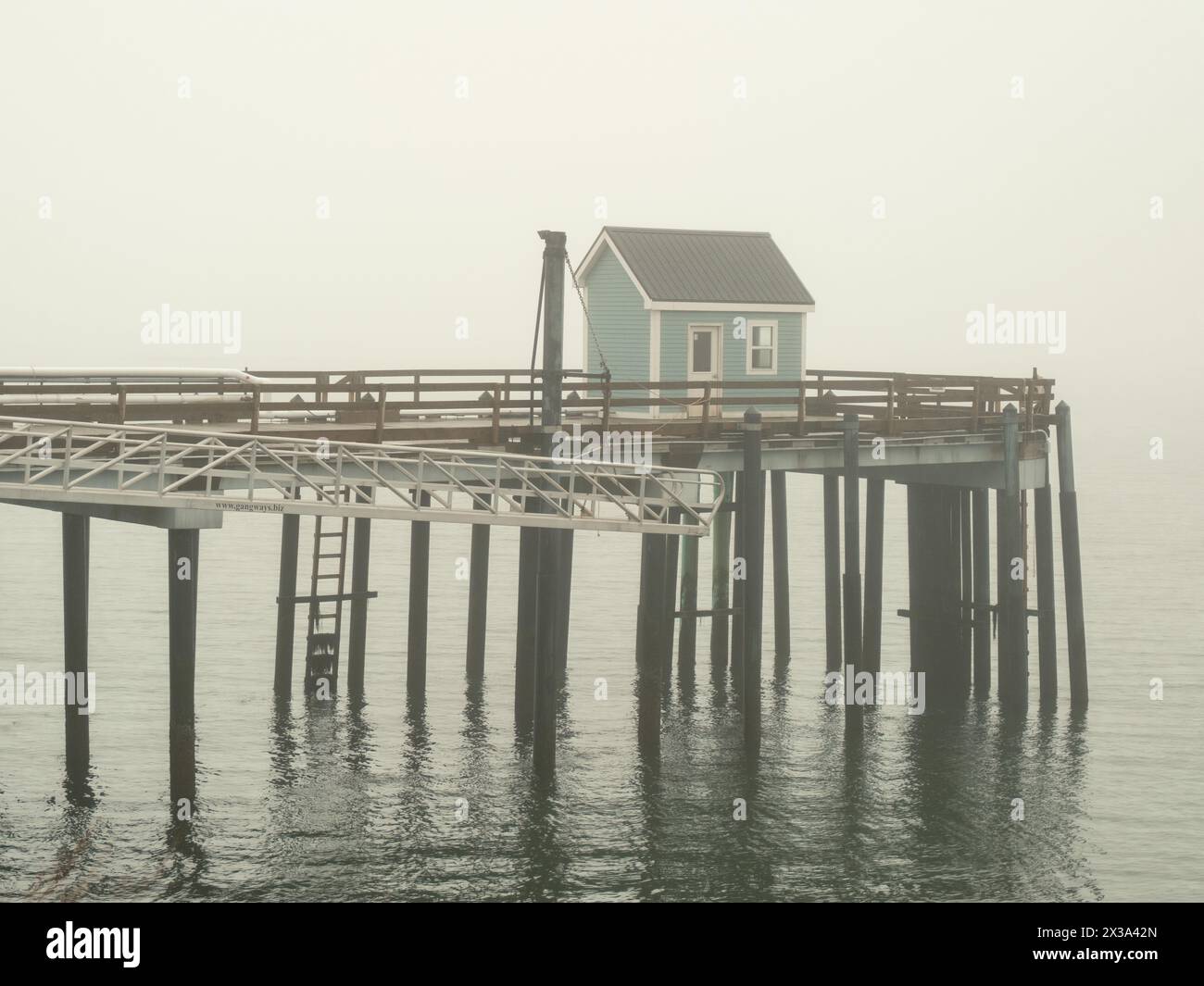 Fog pier on beach in hi-res stock photography and images - Alamy