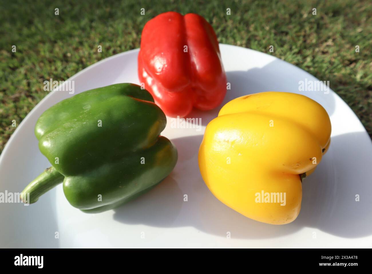 Types Of Red Bell Peppers