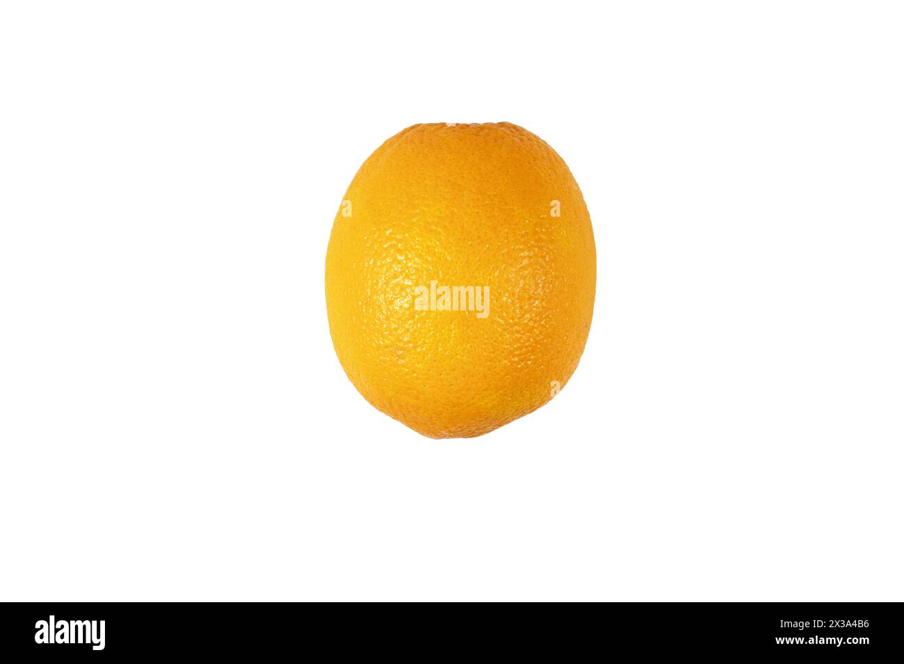 Image of a single lemon on a white background Stock Photo - Alamy