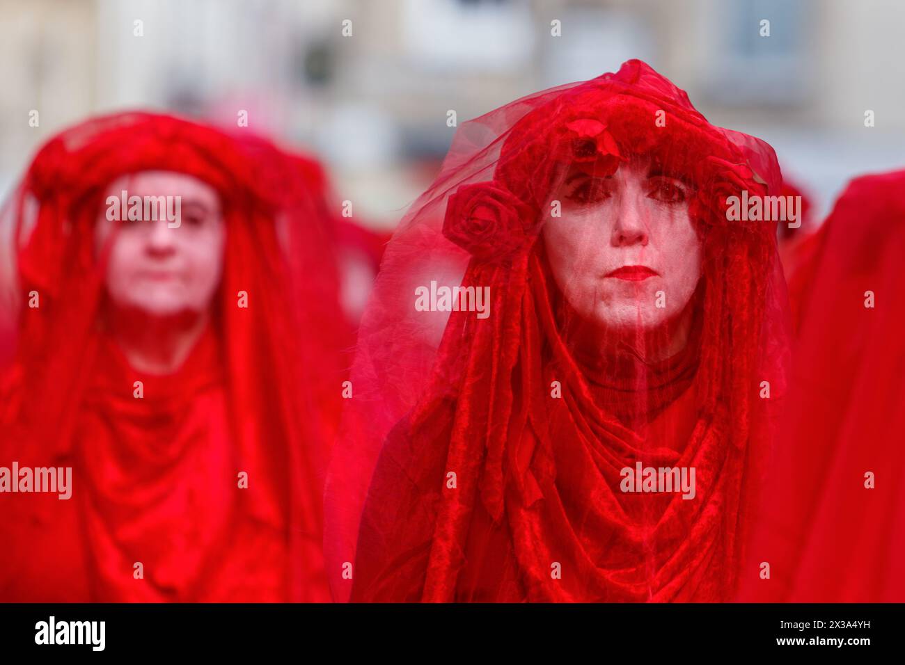 Members of the Red Rebel Brigade take part in a 'funeral for nature ...