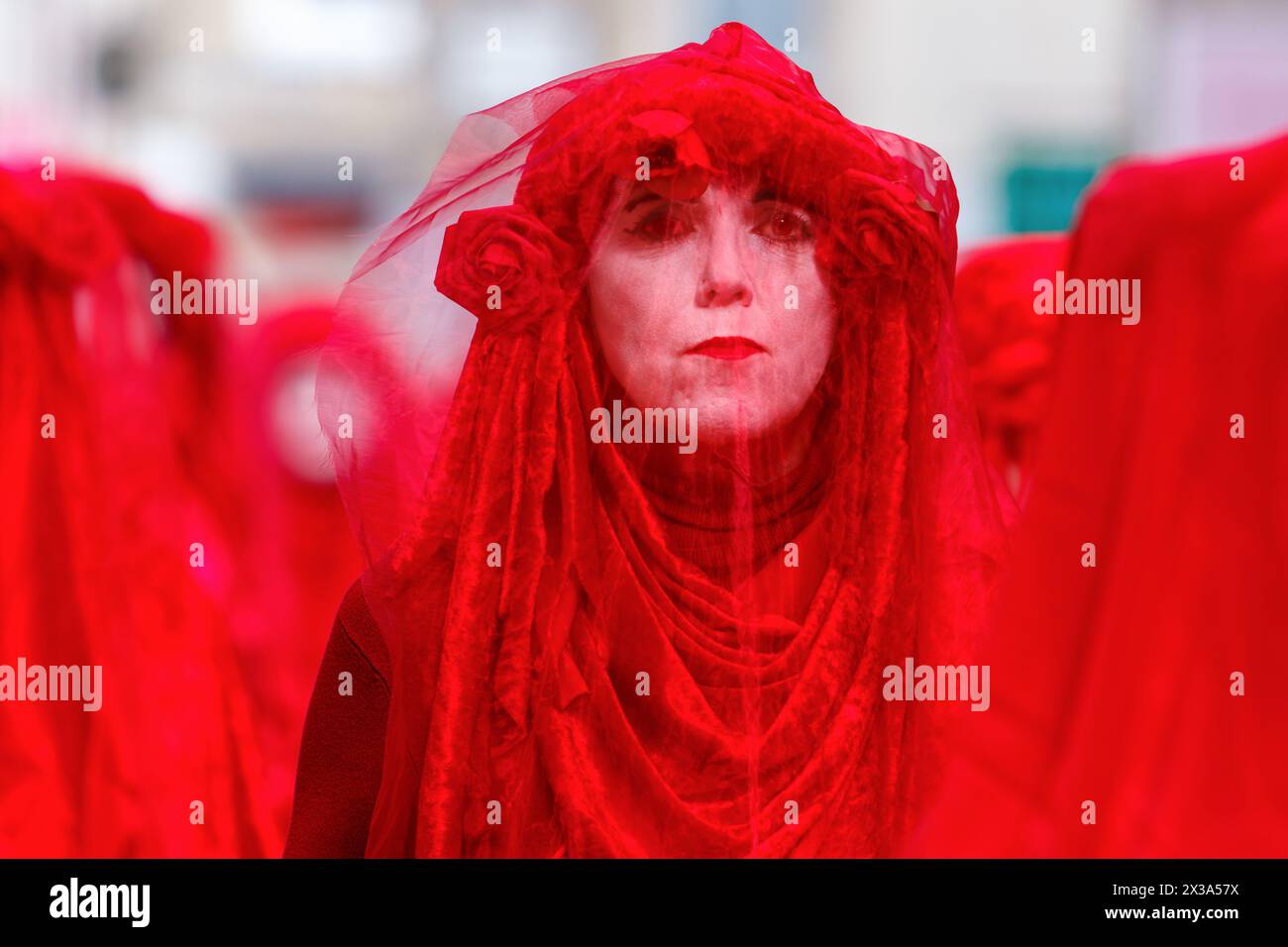 Members of the Red Rebel Brigade take part in a 'funeral for nature ...
