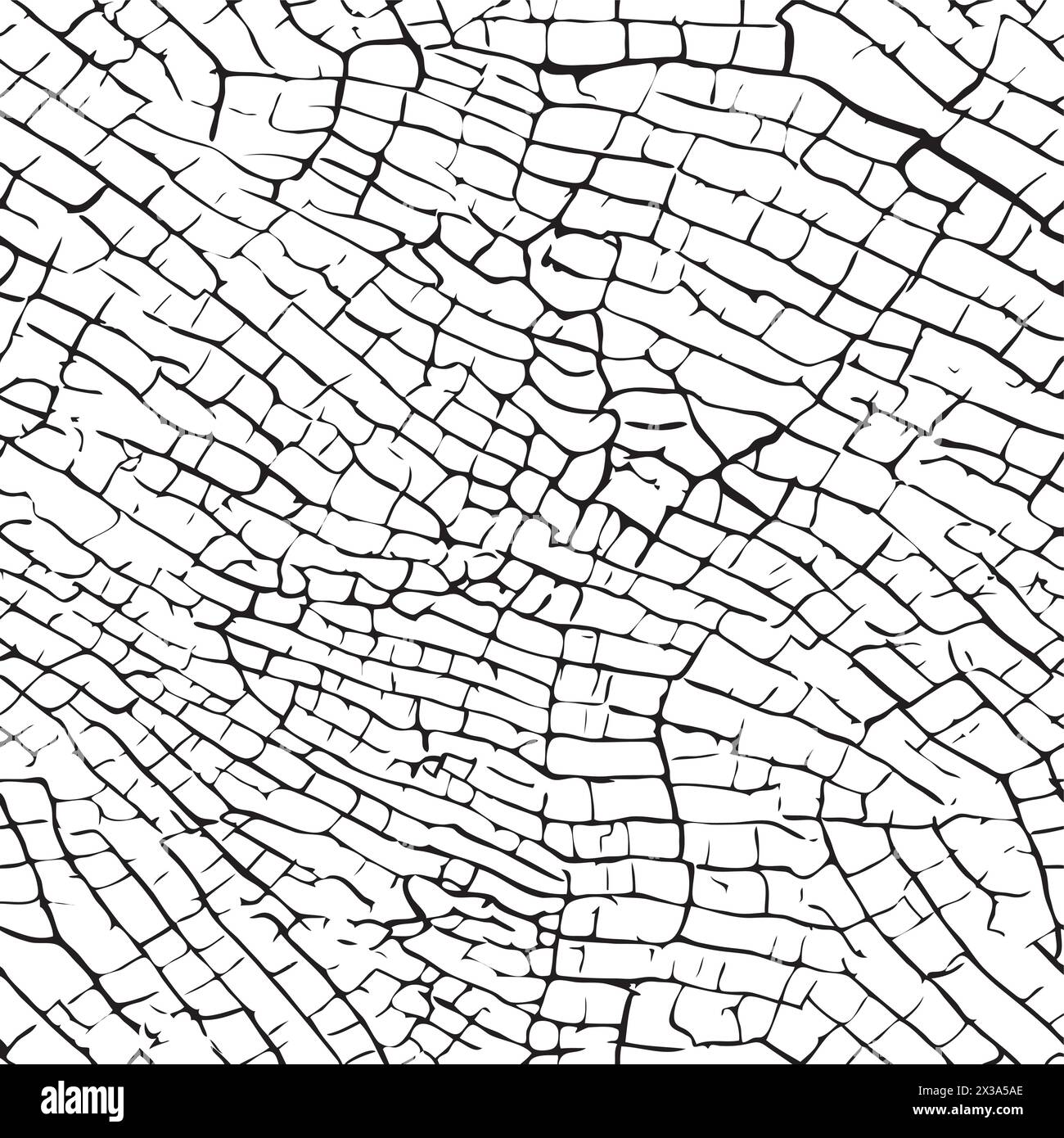 Monochrome image depicting the intricate pattern of cracked, dry earth ... Monochrome image depicting the intricate pattern of cracked, dry earth ...