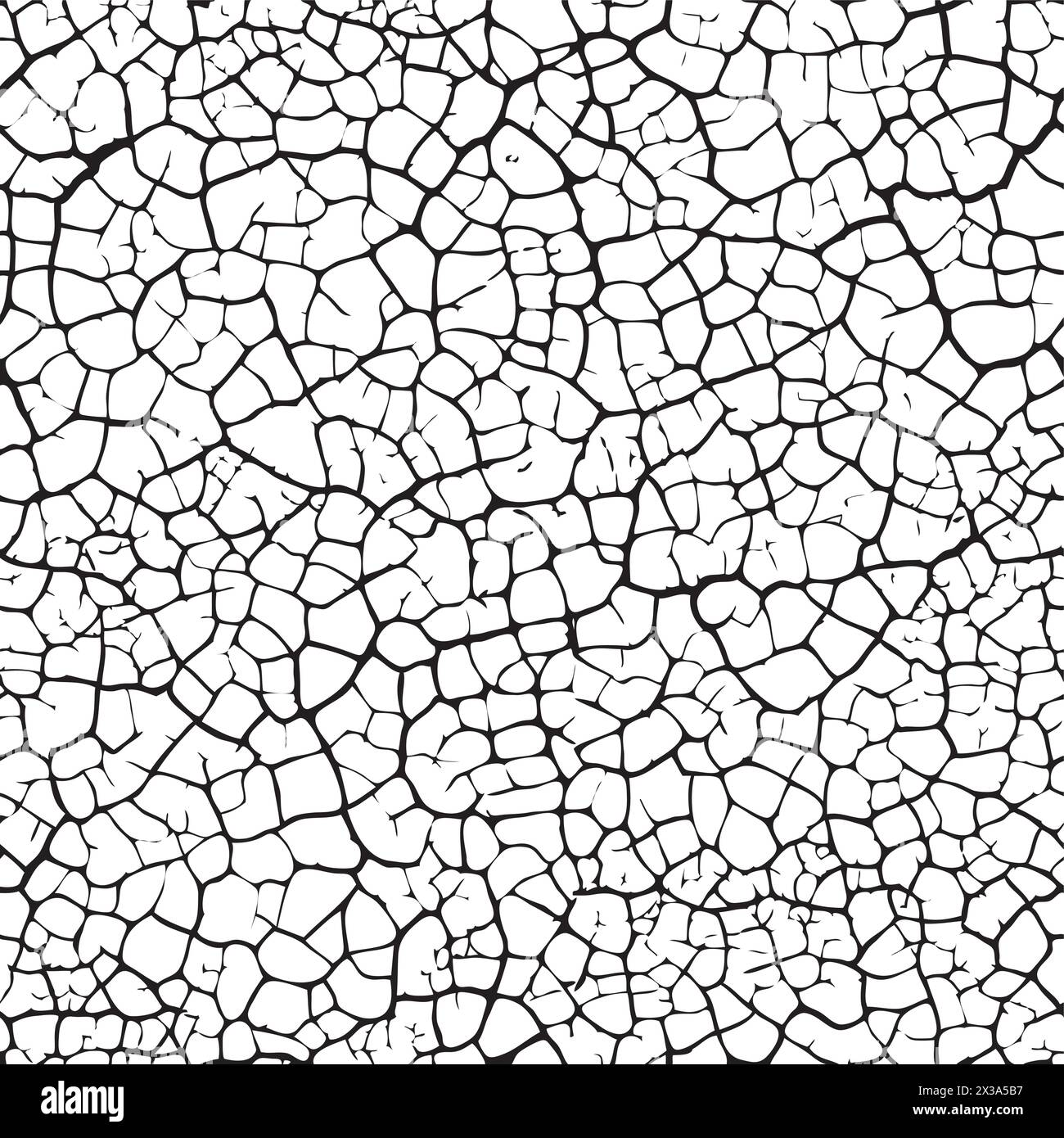 Monochrome image depicting the intricate pattern of cracked, dry earth ... Monochrome image depicting the intricate pattern of cracked, dry earth ...