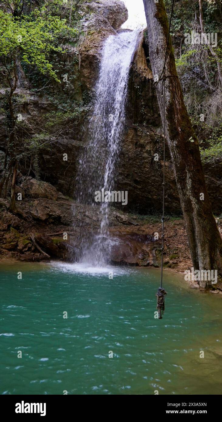 A vertical shot of stones covered with moss in a lake under the ...