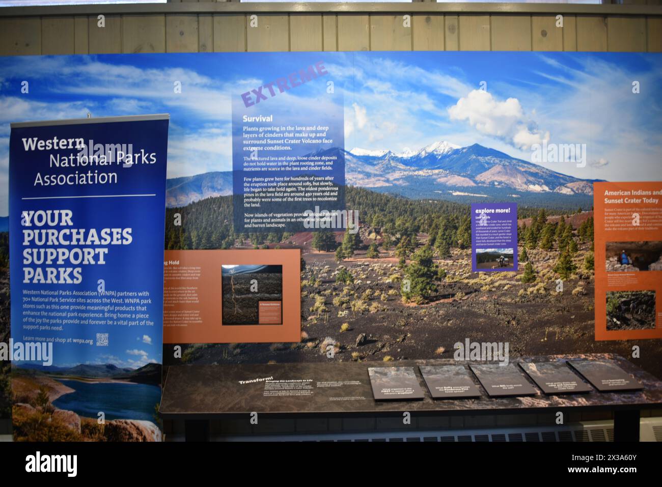 Flagstaff, AZ. U.S.A. 3/20/2024. Sunset Crater Volcano National ...