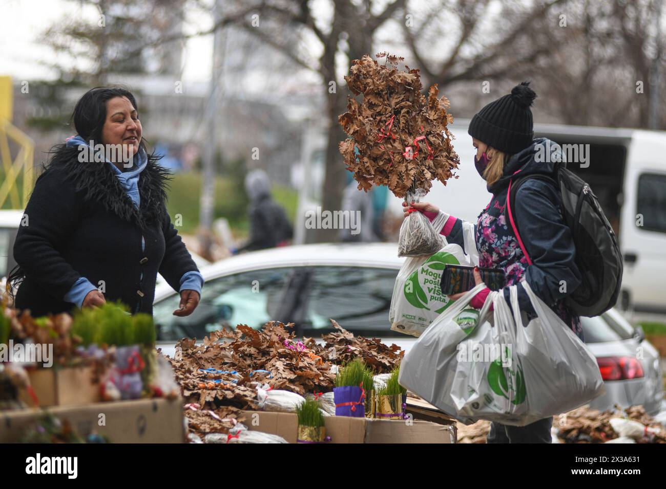 Belgrade during New Year Holidays: street vendors of Badnjak tree ...