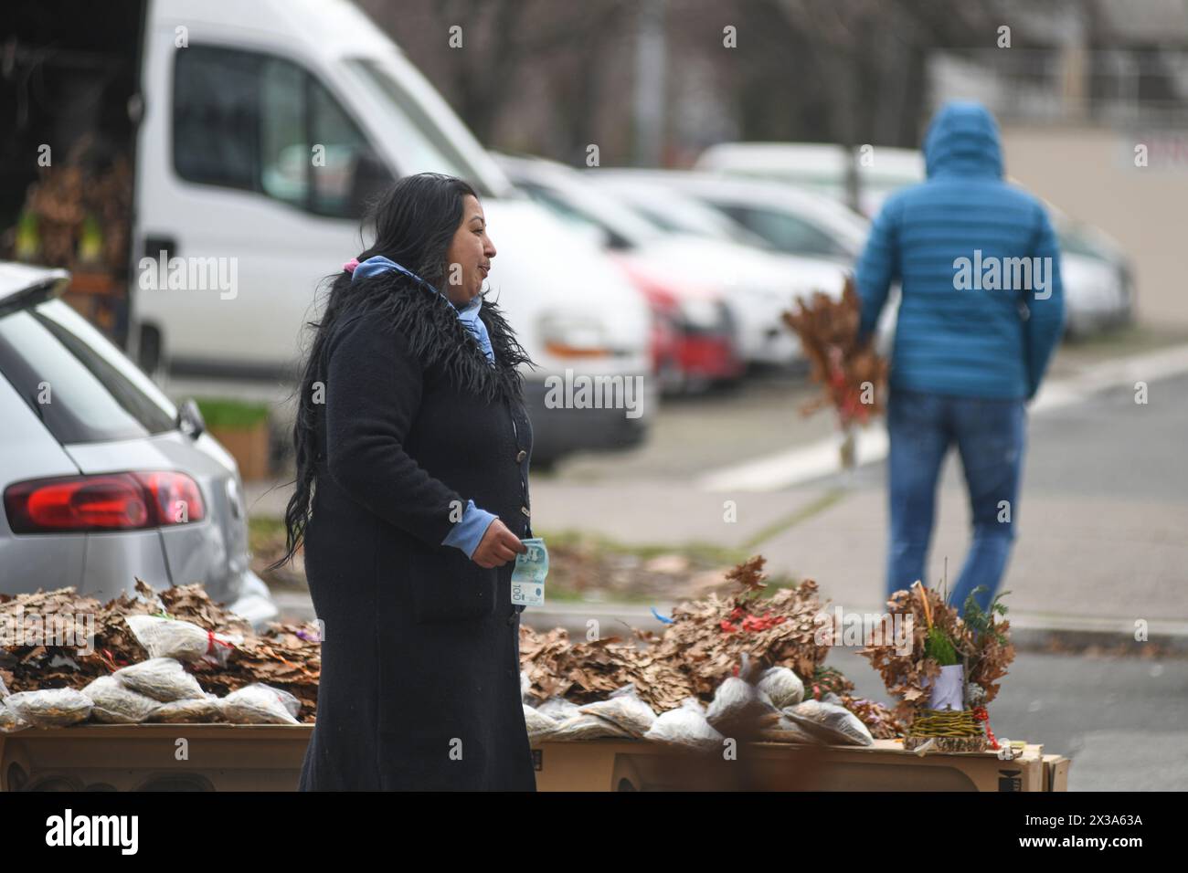 Belgrade during New Year Holidays: street vendors of Badnjak tree ...