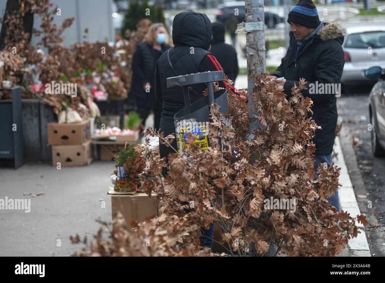 Belgrade during New Year Holidays: street vendors of Badnjak tree ...