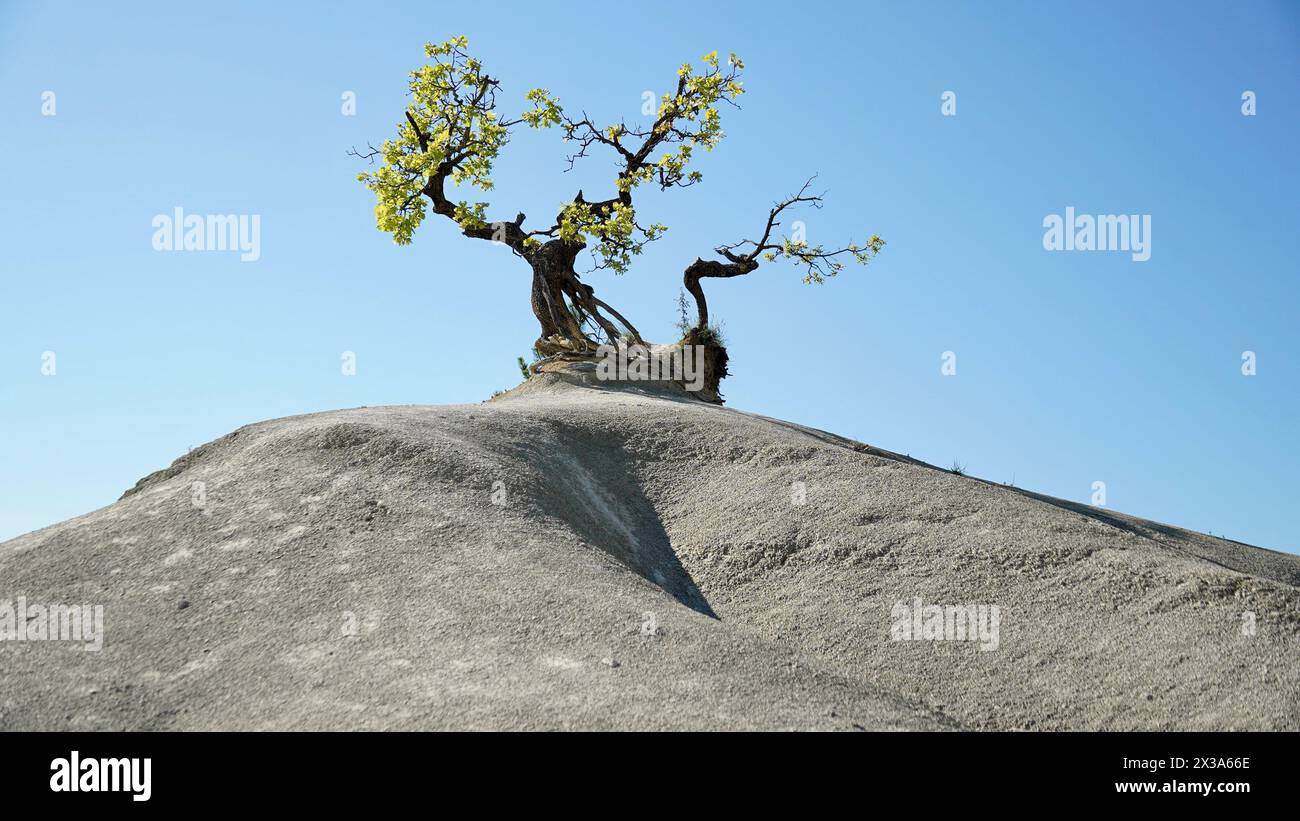 landscape named Istarska pustinja near Buje in Istria peninsula ...
