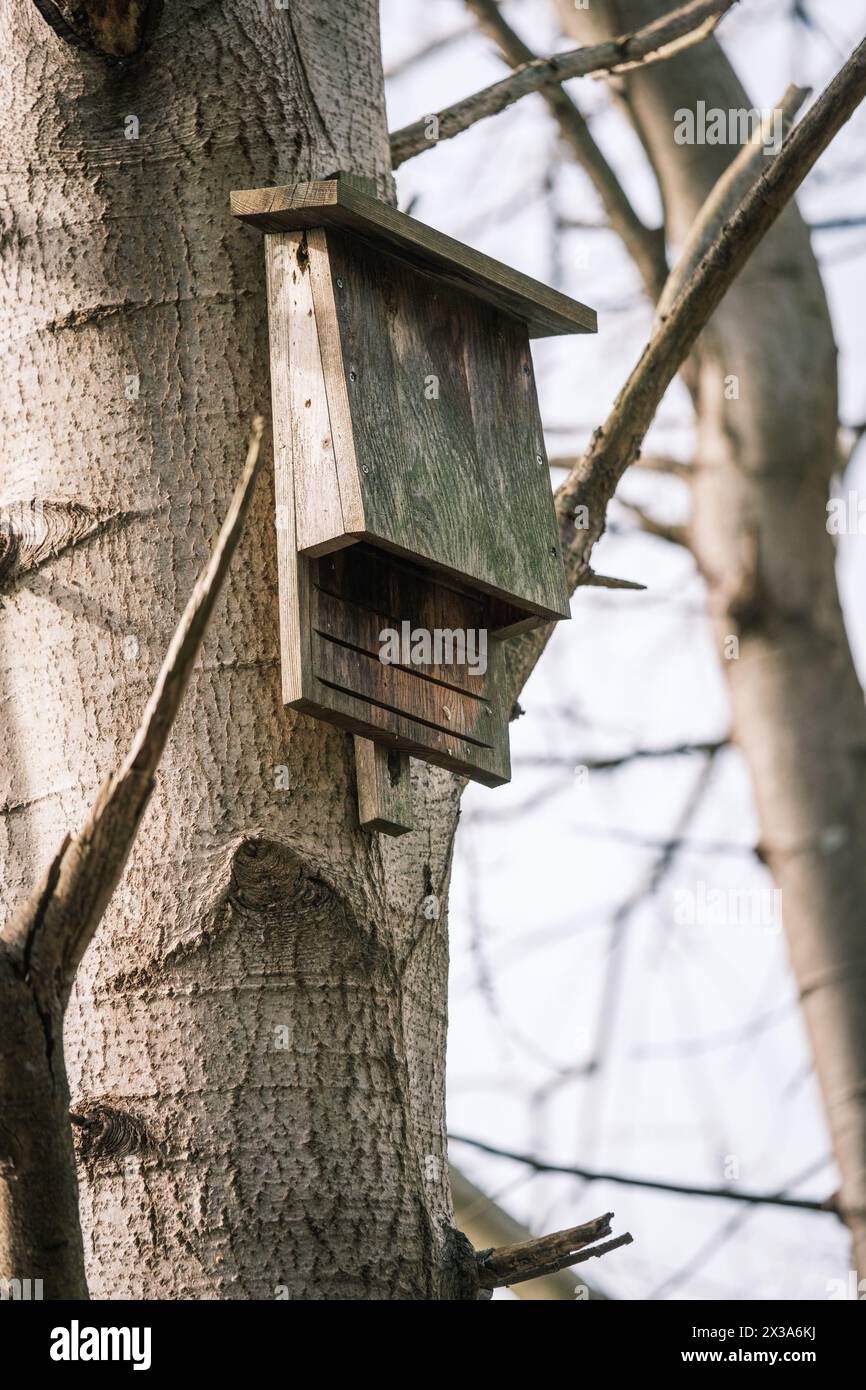 Bat box on a tree hi-res stock photography and images - Alamy