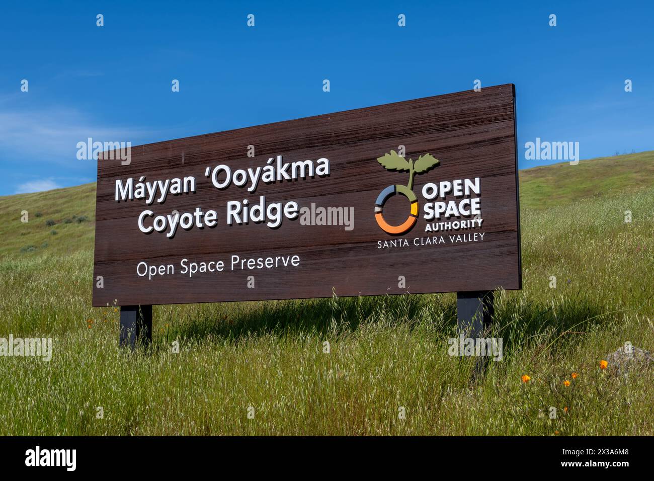Coyote Ride Open Space Stock Photo - Alamy