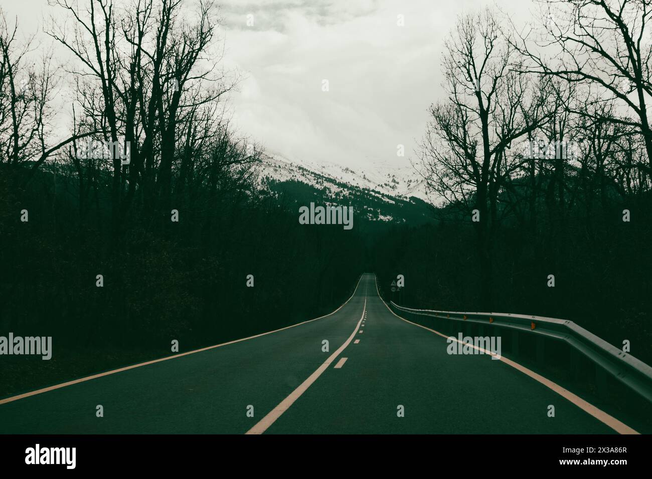 Empty misty road through winter forest. Scenic picturesque route. Sense ...