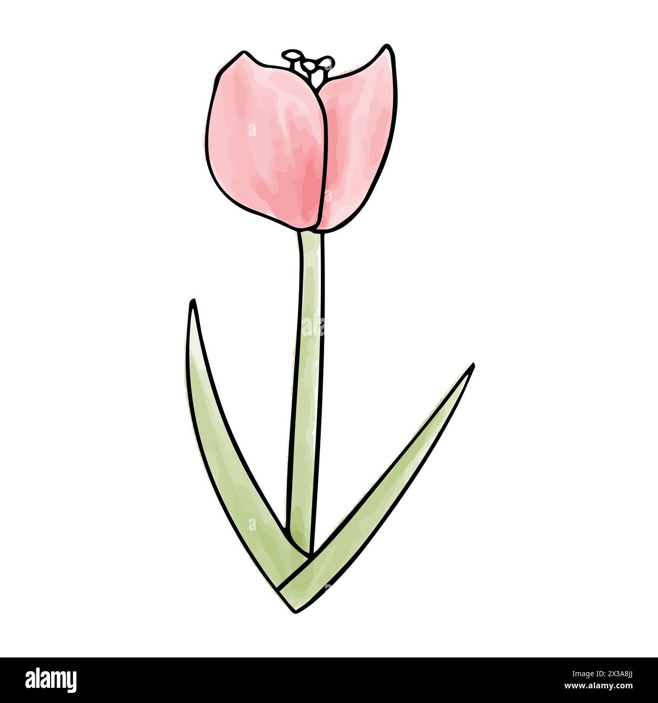 Flower watercolor doodle element, vector illustration Stock Vector ...