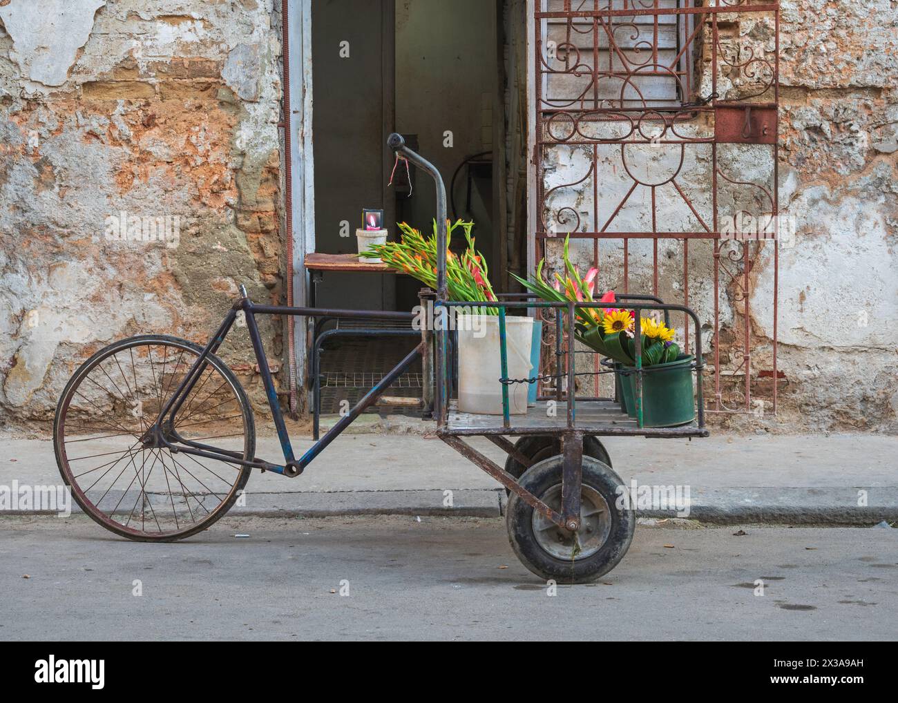Old delivery bicycle flowers outside hi-res stock photography and ...