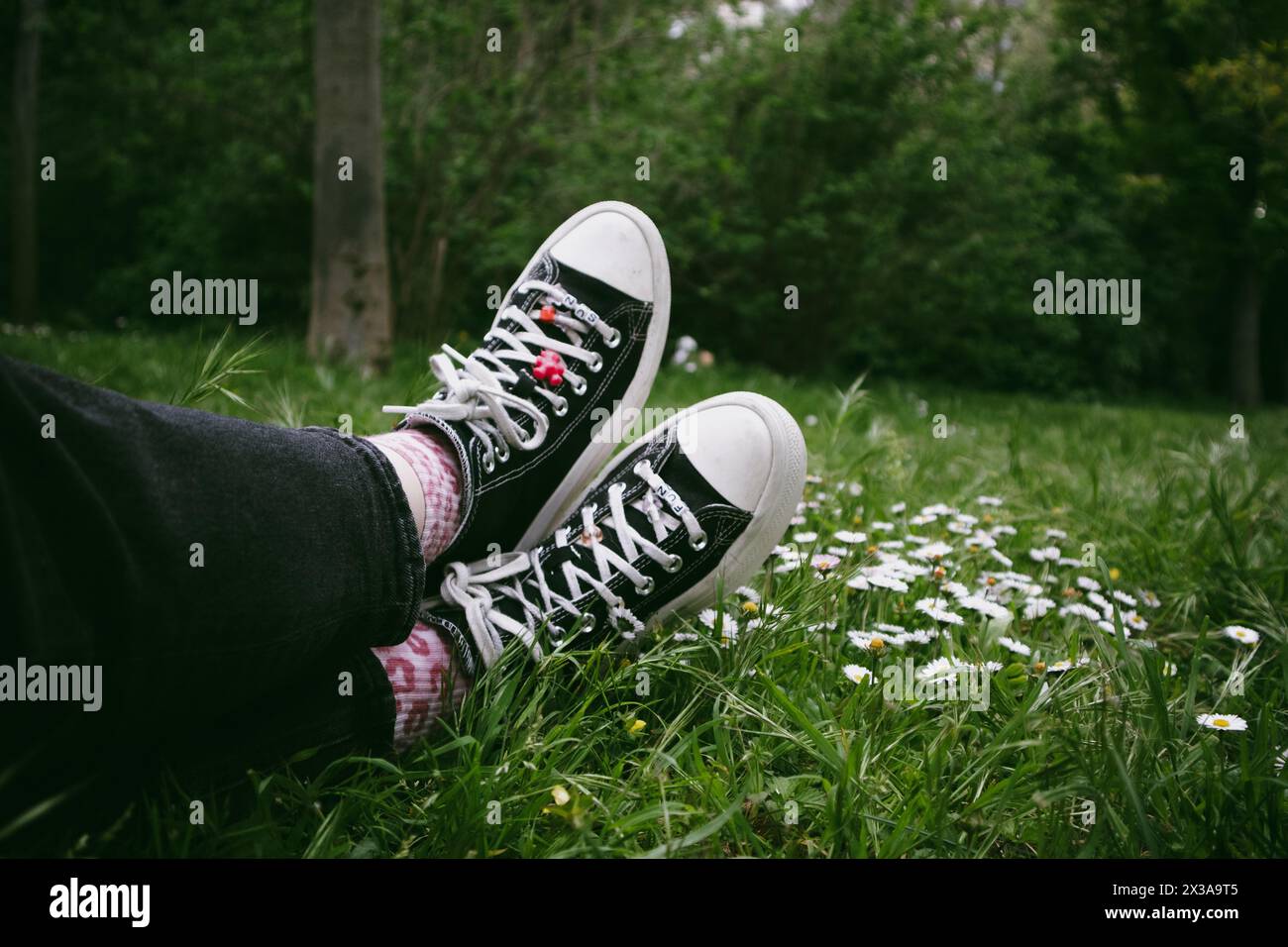 Madrid, Spain. 7 January 2024. Classic Converse sneakers on women's ...
