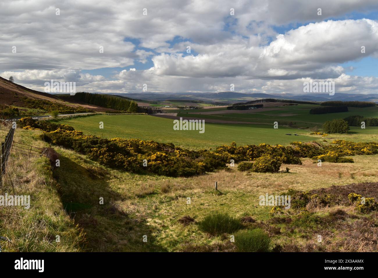 A bright spring day in the countryside of Angus, Scotland Stock Photo ...