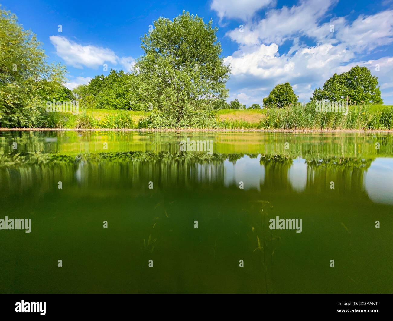 Half above half underwater hi-res stock photography and images - Alamy
