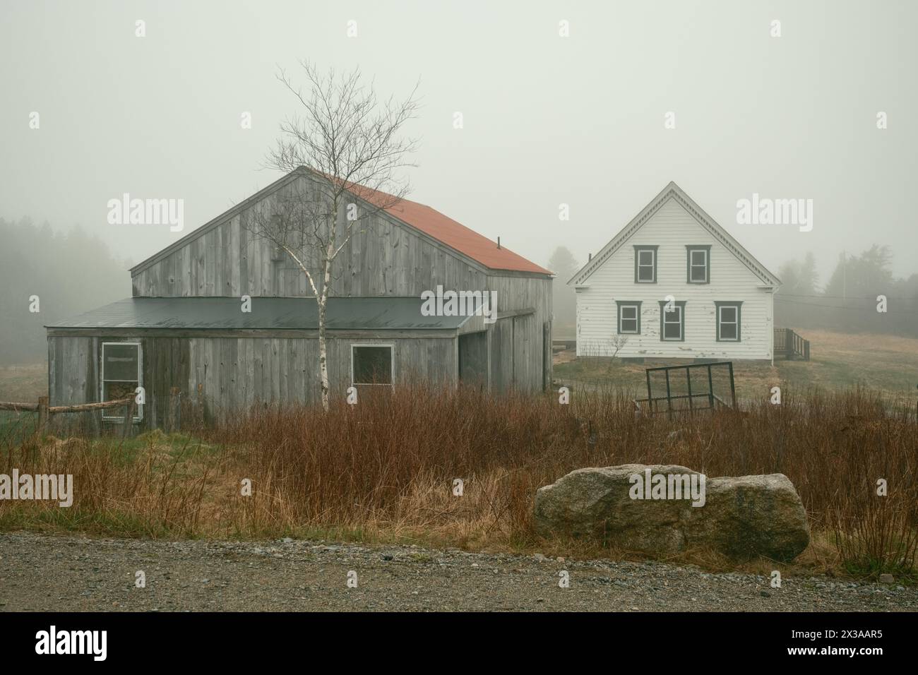 A foggy scene on Beals Island, Maine Stock Photo - Alamy